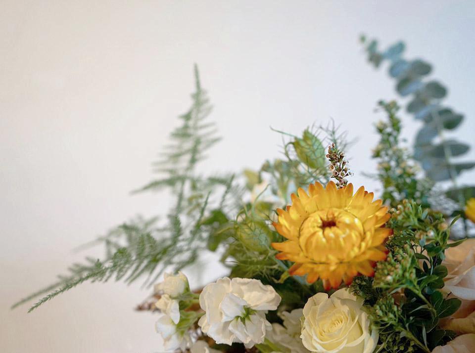 The Southbank – Foxgloves & Folly